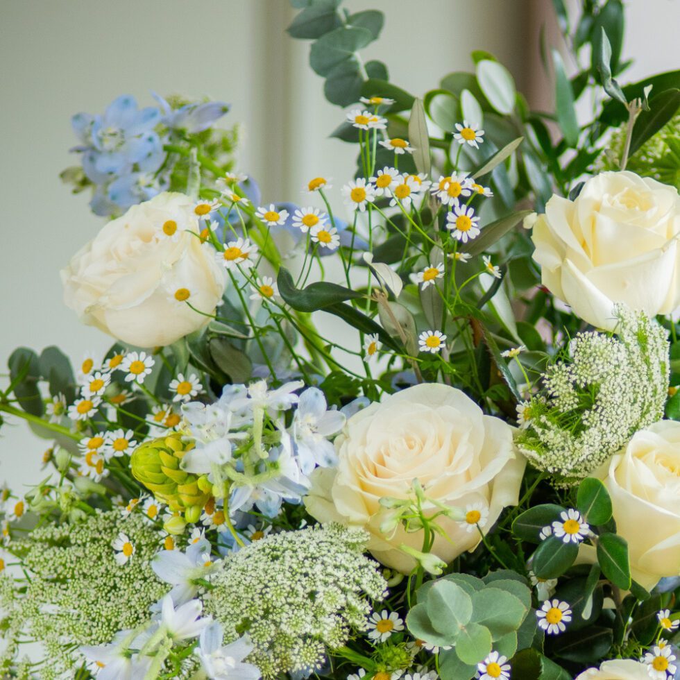 Meadow Dew | Moutan Flowers