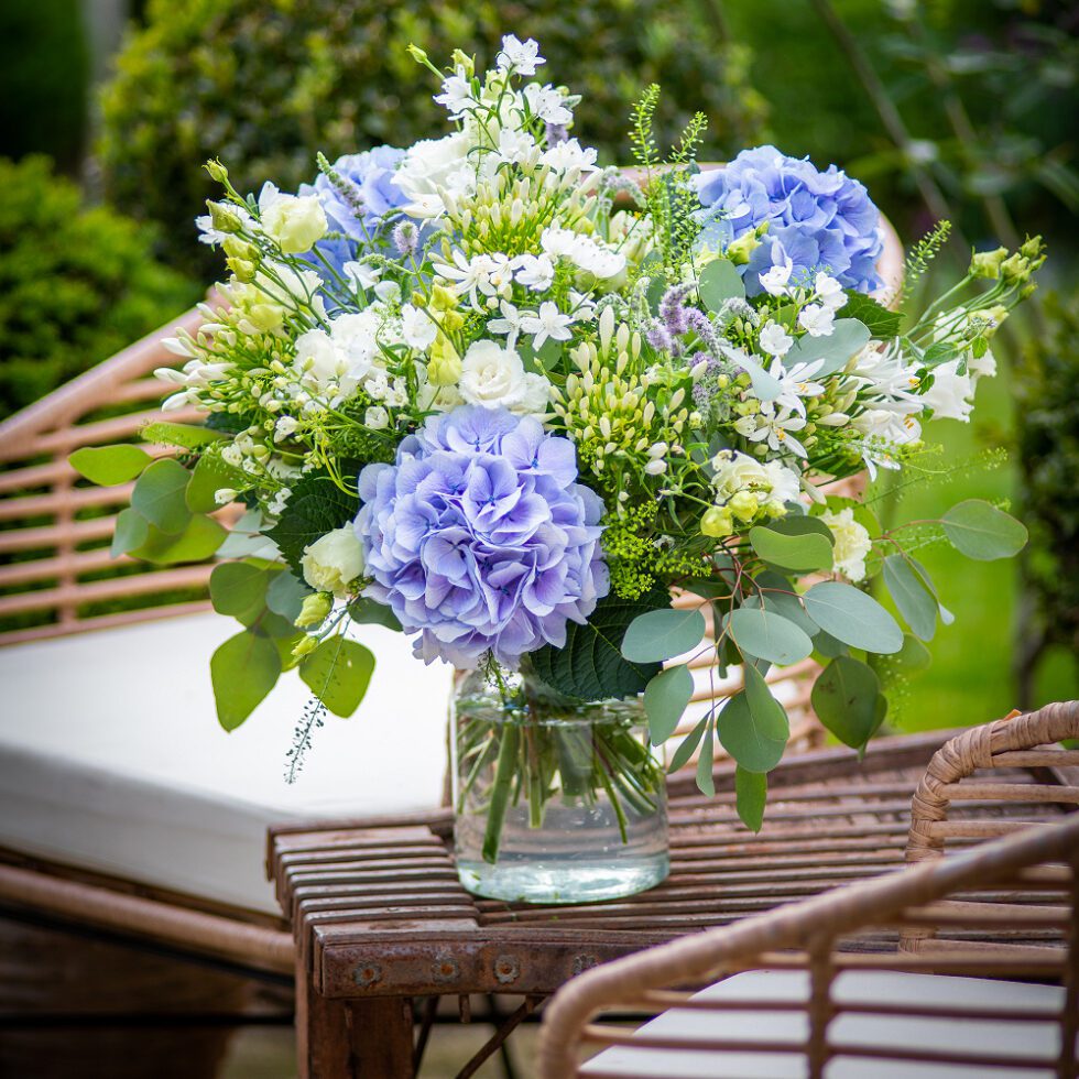 Delphi | Moutan Flowers