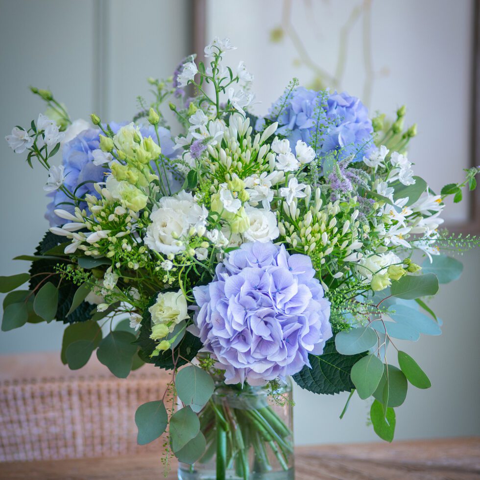 Delphi | Moutan Flowers