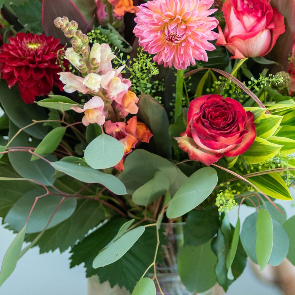 Tzar | Moutan Flowers